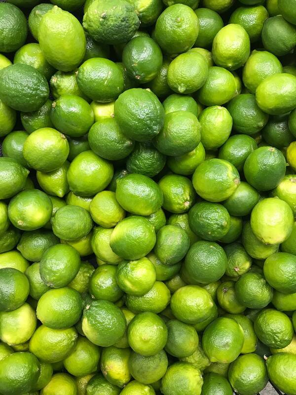 Dwarf Lime ‘ Tahitian ‘ - Neth Green
