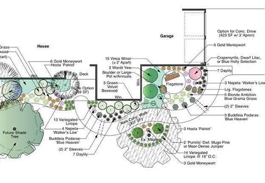 Top gardening services & plants nursery Melbourne | Neth Green